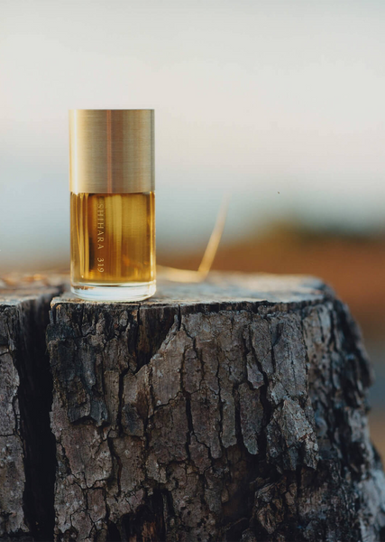 Home Fragrance Oil — 319 – La Garçonne