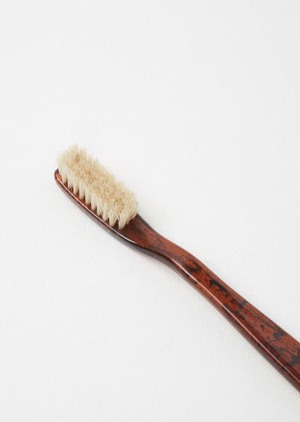 Tortoise Toothbrush by Swissco - La GarÁonne – La Garçonne